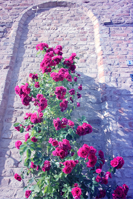 Komm' mit... | Feel Wunderbar